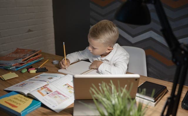 Long-Term Memory Explained: Types, Functions, and How It Works - Psychgrid