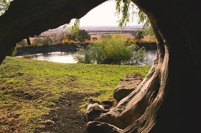 Depth Perception: How We See the World in Three Dimensions - Psychgrid